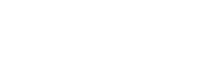 Our team | Aegis Partners LLC